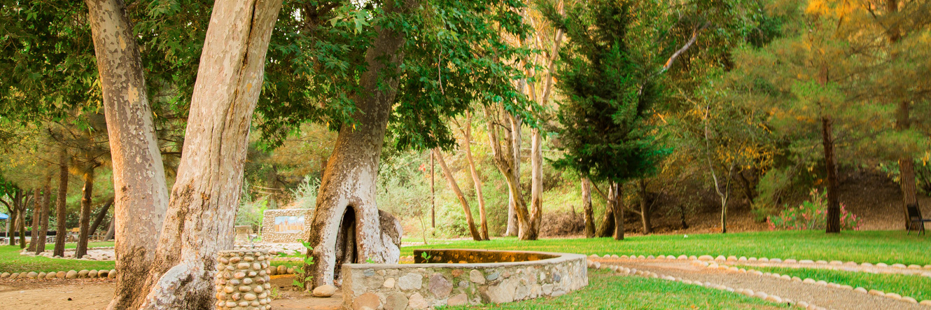 Driving Directions - Camp Alonim