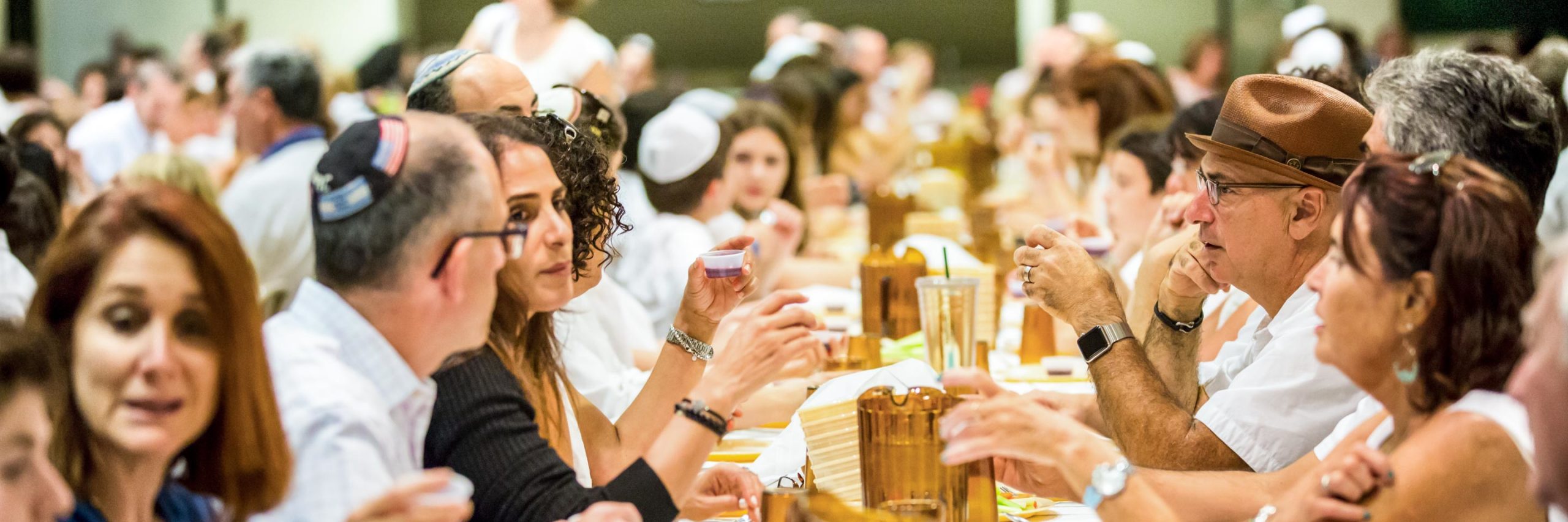 Events & Reunions - Camp Alonim