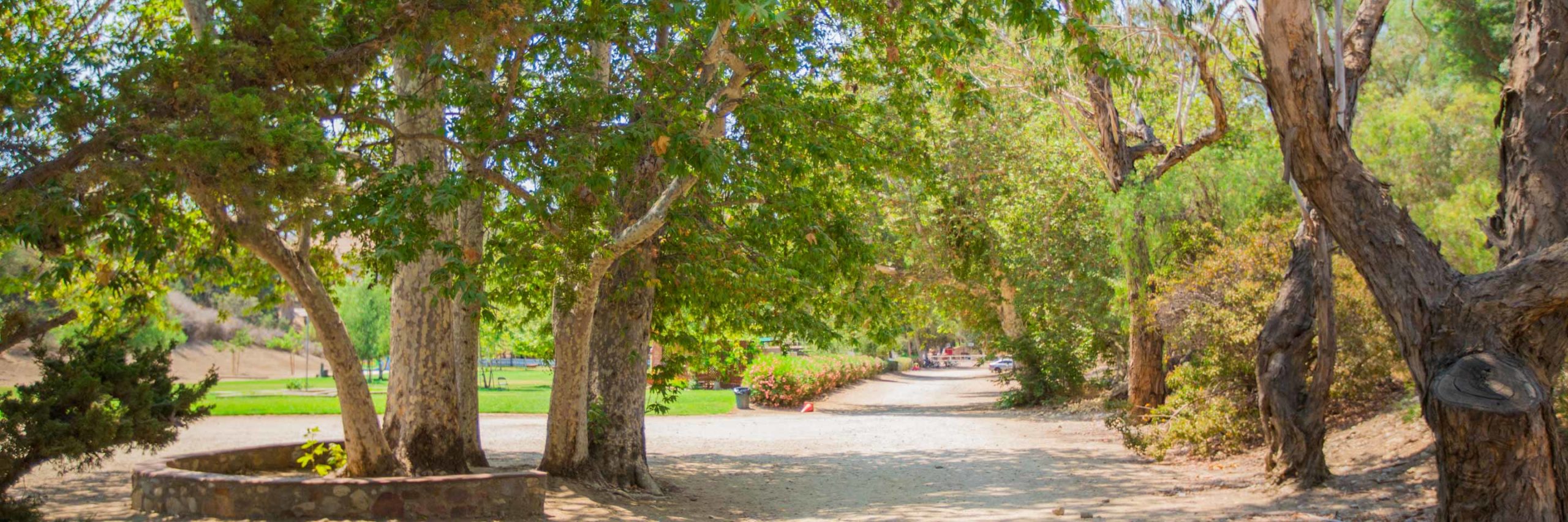 History - Camp Alonim